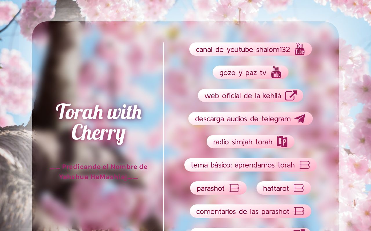 Aprende Torah bajo los cerezos en flor